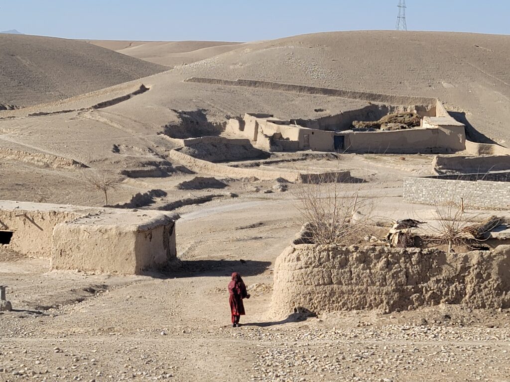 Shadow Shaping Epidemic: How INGOs Are Cloning, Not Partnering with ...